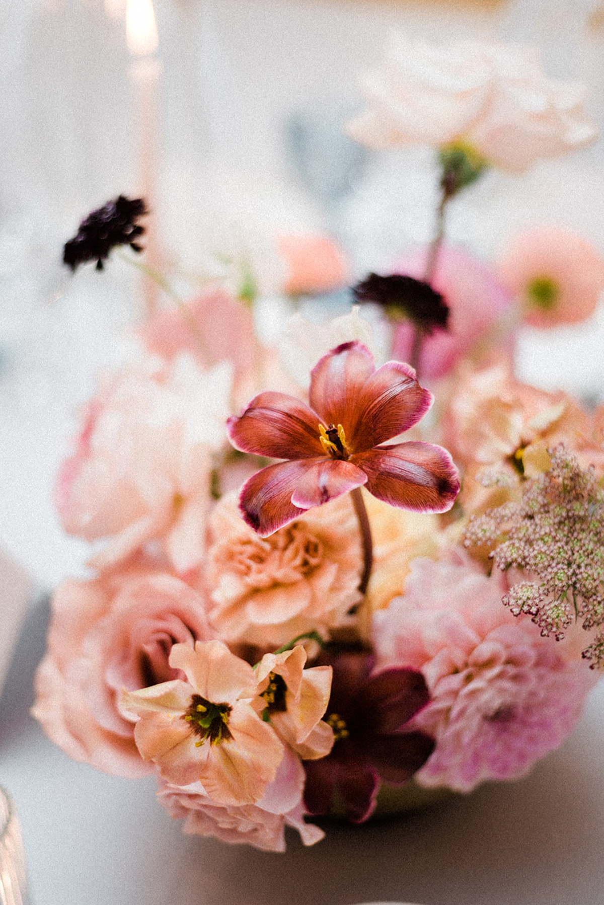 Jenn & Samer – Blue Lavender Events | Toronto Wedding Planner
